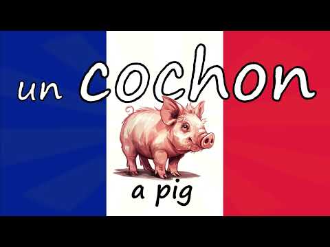 🇫🇷 FARM ANIMALS in FRENCH - Les ANIMAUX de la FERME 🇫🇷