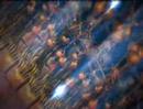 The Human Body - The Sense of Sight - The Remarcable Perform