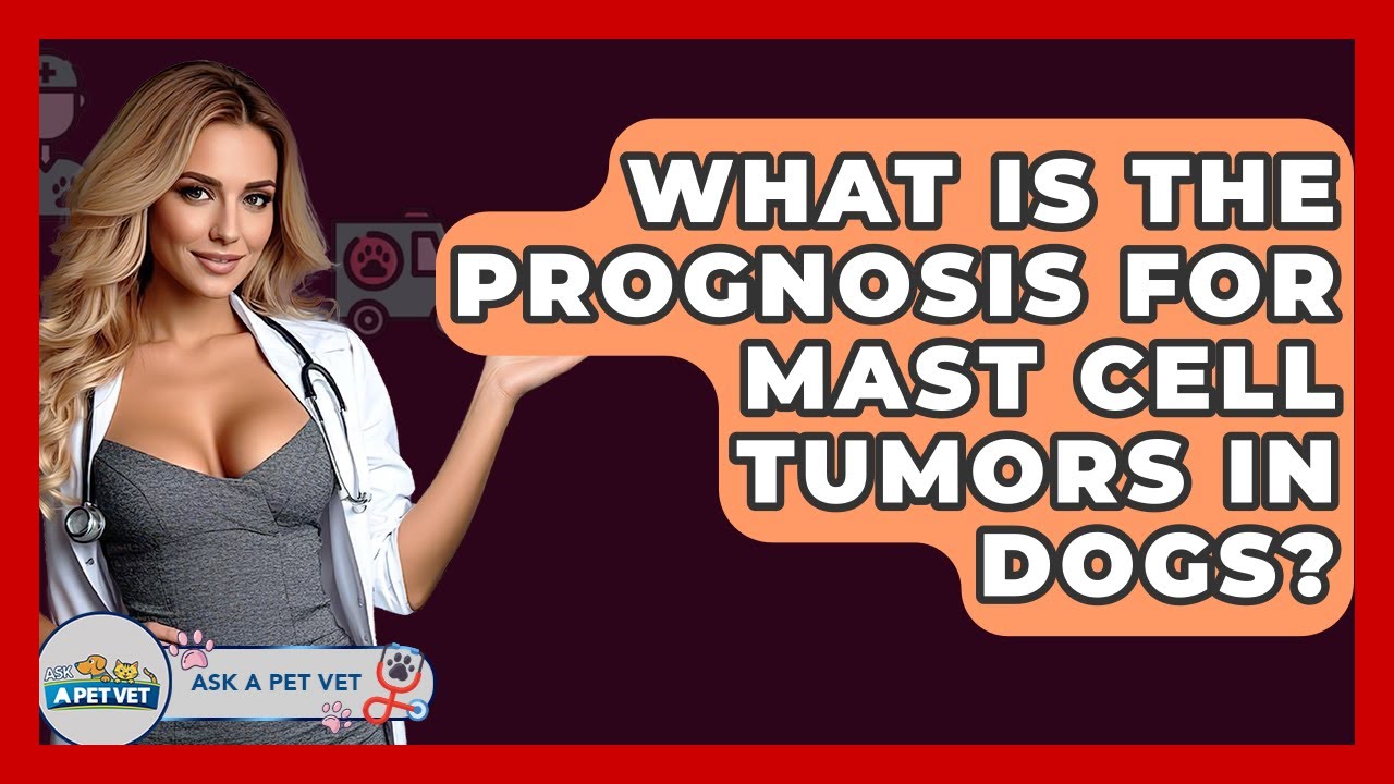 What Is The Prognosis For Mast Cell Tumors In Dogs? - Ask A Pet Vet