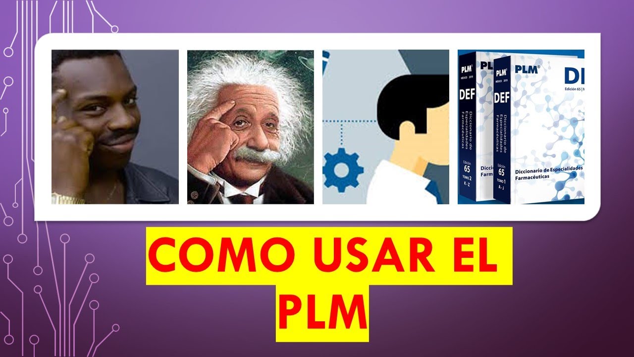 COMO USAR EL PLM
