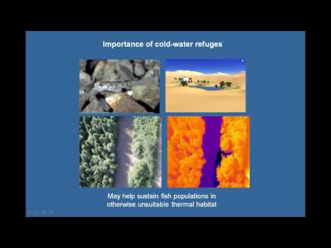 Water temperature monitoring network, Normand Bergeron (INRS)