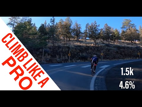 The Sole Of Cycling – Bike Snob NYC