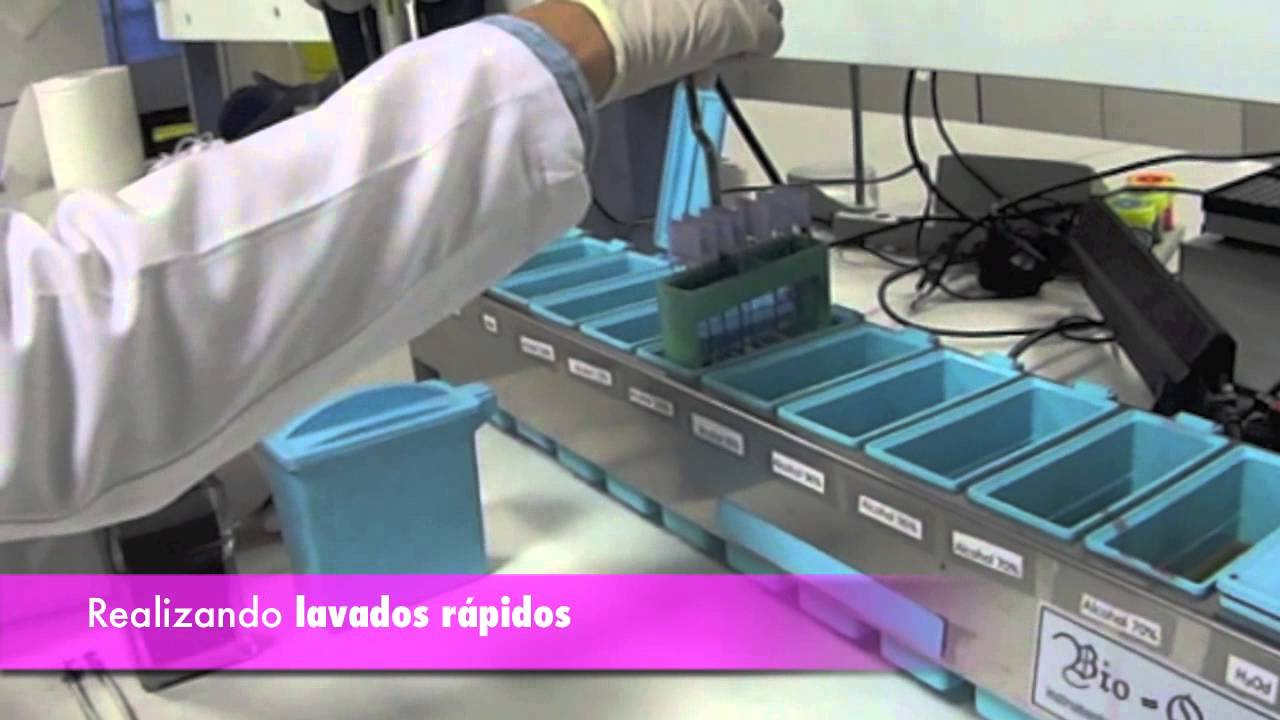 Tutorial tinción de Hematoxilina-Eosina