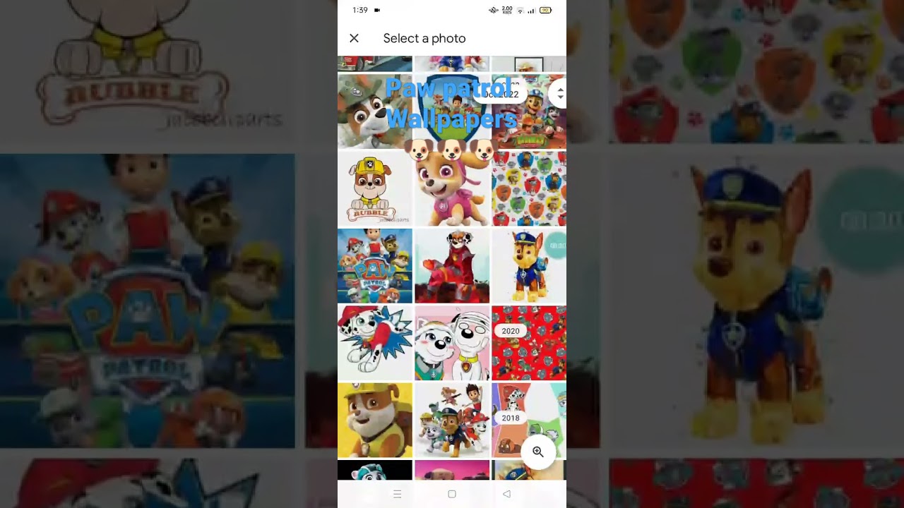 Showing everyone my Paw patrol Wallpaper collection 🐶🐶🐶🐶🐶