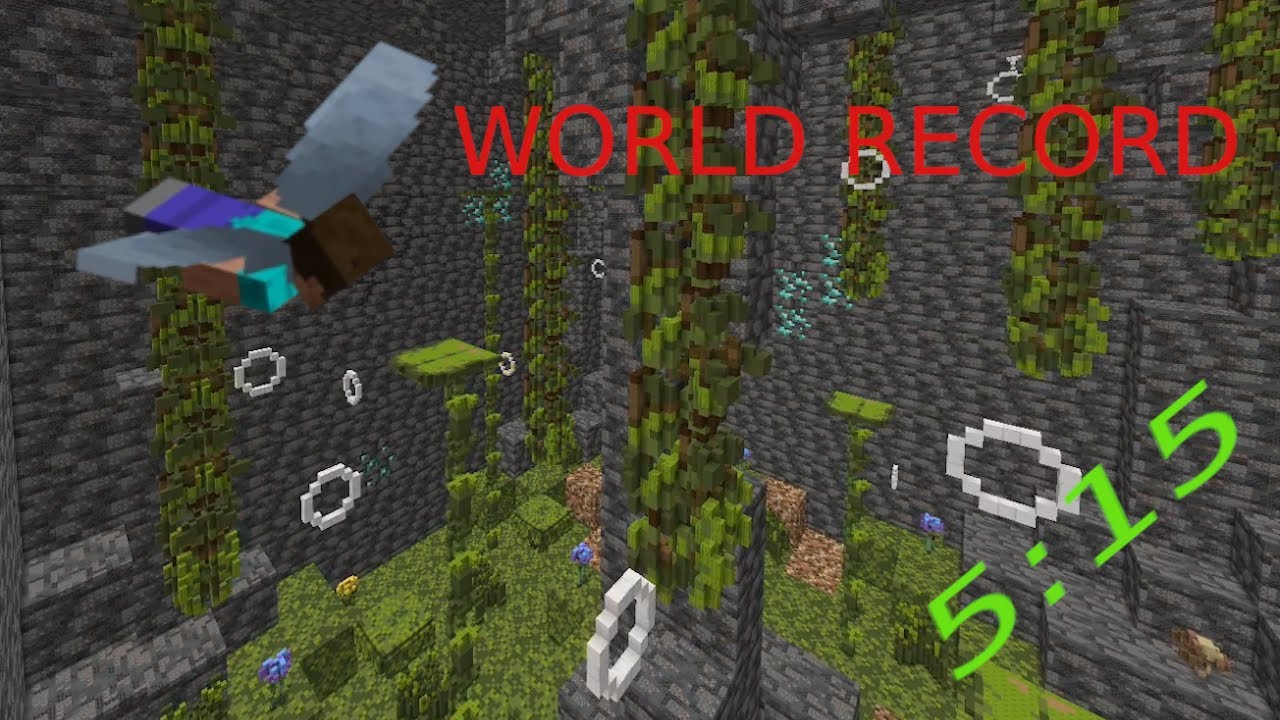 I got the WORLD RECORD in Elytra Rush back | All Levels