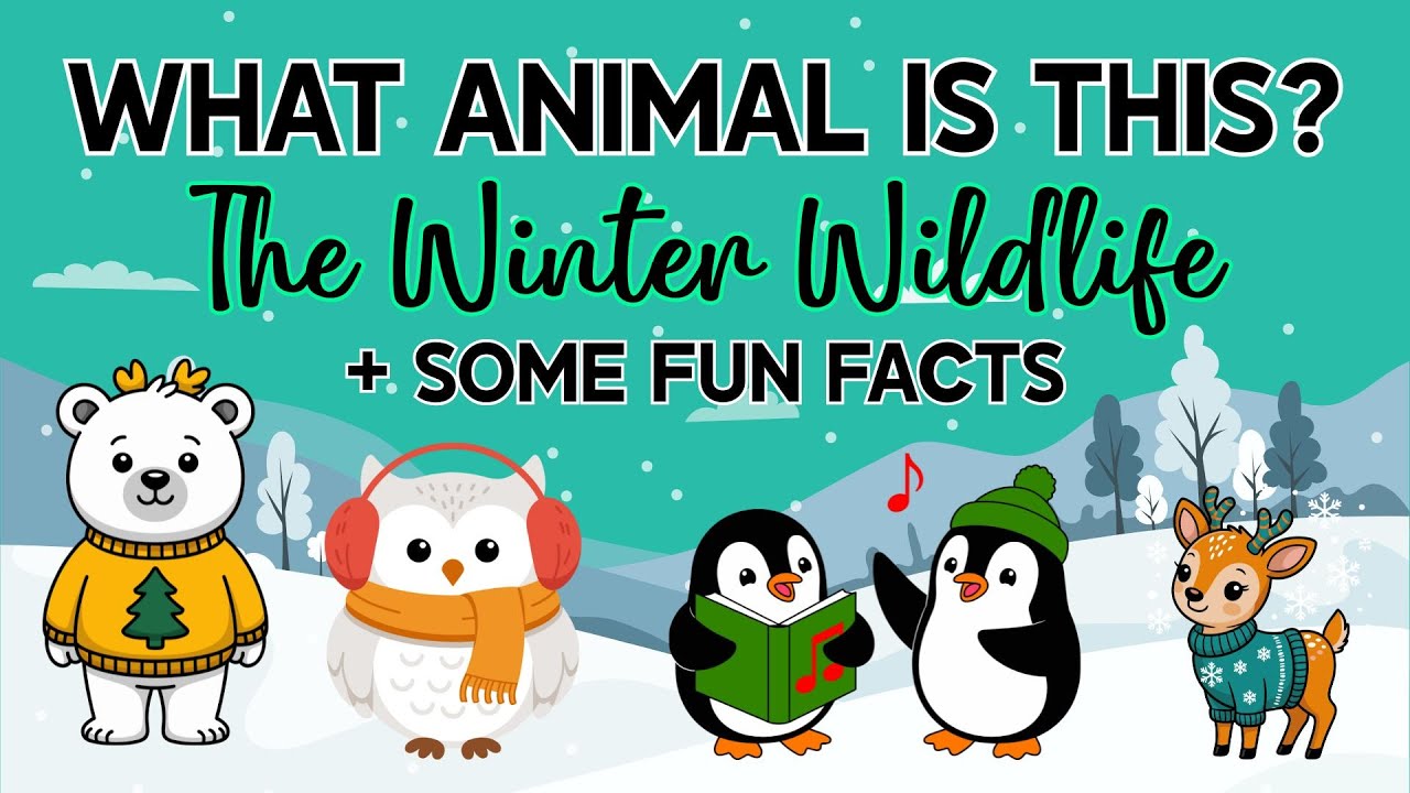 Animals in Winter! Guessing Game + Fun Facts for Kids