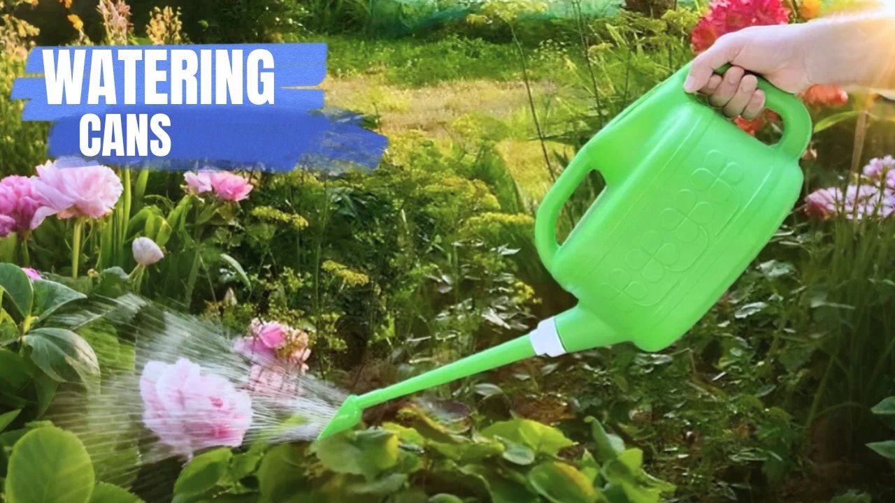 The 3 Best Watering Cans 2026 (Watering Can on Amazon)