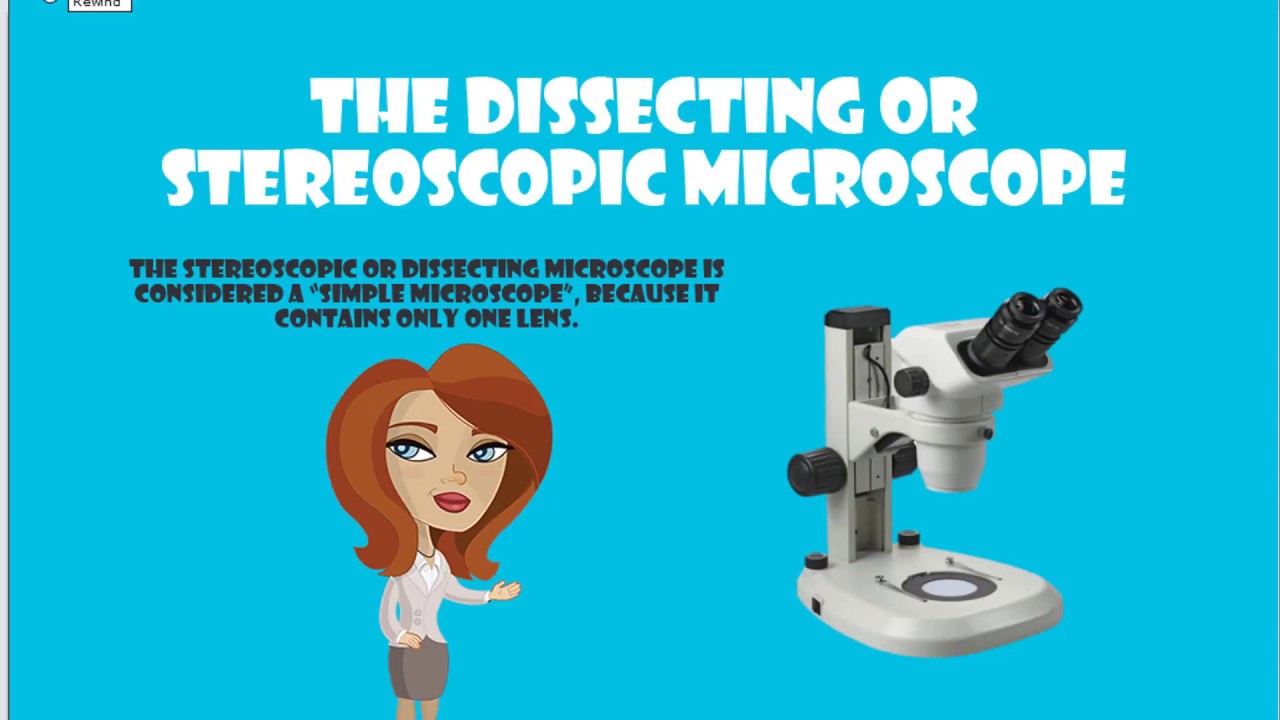Microscopy - Dissecting Microscopes, Compound Microscopes and Electron microscopes.