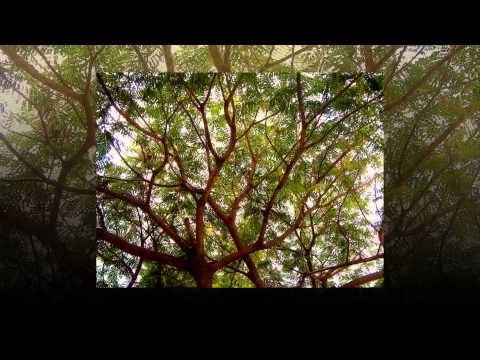 Daniel Buchbinder – Master Photography