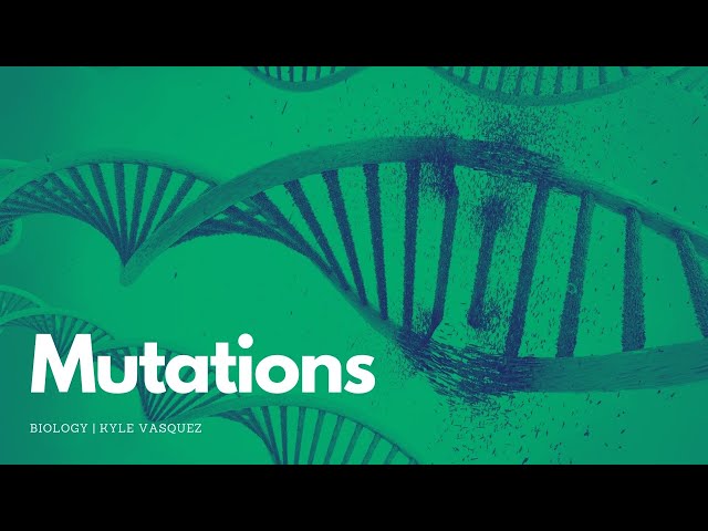 Understanding Genetic Mutations: Types, Effects, and Disorders | Galaxy.ai