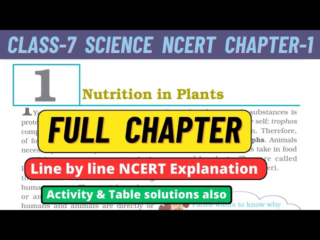 Understanding Plant Nutrition A Comprehensive Guide For Class 7