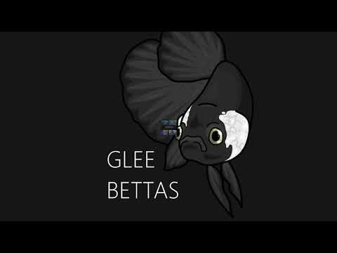 2018 Betta splendens: All Color, Pattern, Form, and Tail Types