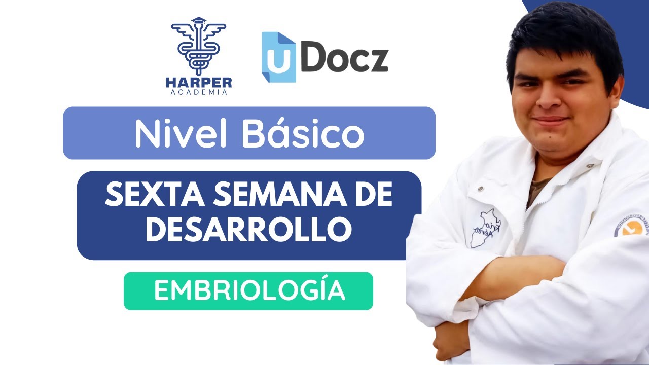 Sexta Semana de desarrollo con Harper Academia & uDocz 📚| Nivel Básico