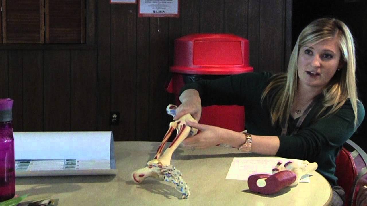 Common Injuries In Youth Soccer Players