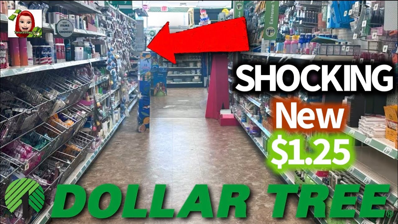 DOLLAR TREE🚨I CAN’T BELIEVE THESE NEW ARRIVALS ARE ONLY $1.25 & UP‼️ #dollartree #shopping #new 