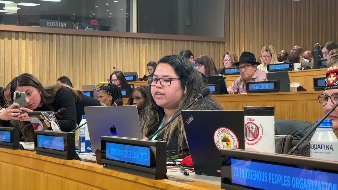 IJA member delivers statement at the UN Permanent Forum on Indigenous Issues (UNPFII)