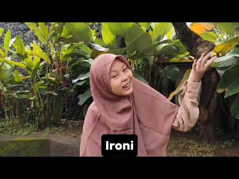 Jenis - Jenis Majas dan Contoh Penggunaannya