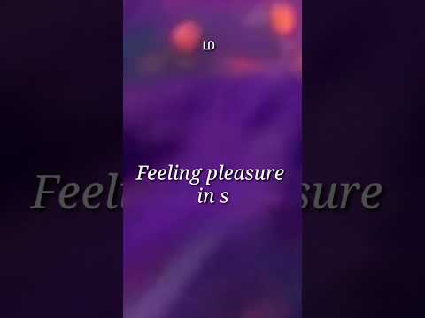 Word for pleasure in someone's misfortune I Meaning