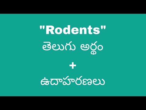 Rodents meaning in telugu with examples | Rodents తెలుగు లో అర్థం @Meaning in Telugu