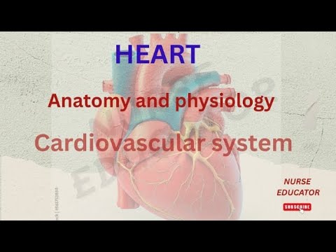 Anatomy and Physiology of Heart #nursesnotes #nurse #cardiaco #heart