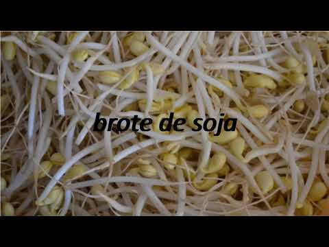 How to say bean sprout in Spanish? brote de soja
