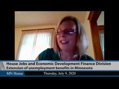 House Jobs and Economic Development Finance Division (Remote Hearing) 7/9/20