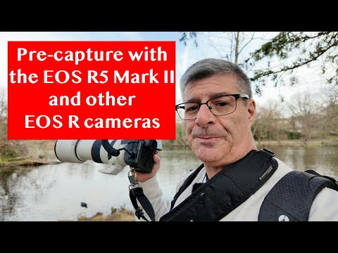Pre-capture on EOS R5 Mark II using pre-continuous shooting on this and other EOS R cameras