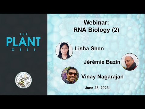 Plant Cell Webinar: RNA Biology (Part 2)