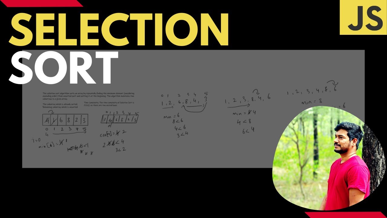 Selection Sort with Visualization | JavaScript