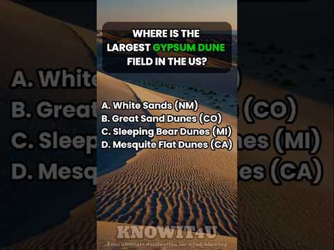 🗺️🇺🇸🧠 Can You Pass This U.S. State Trivia Test? #geographyquiz #quiz #generalknowledge #facts