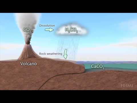 Geologic Carbon Cycle – Mr. Foreman's Science Lab