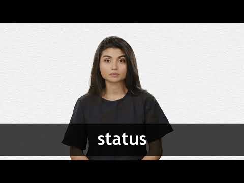 How to pronounce STATUS in American English