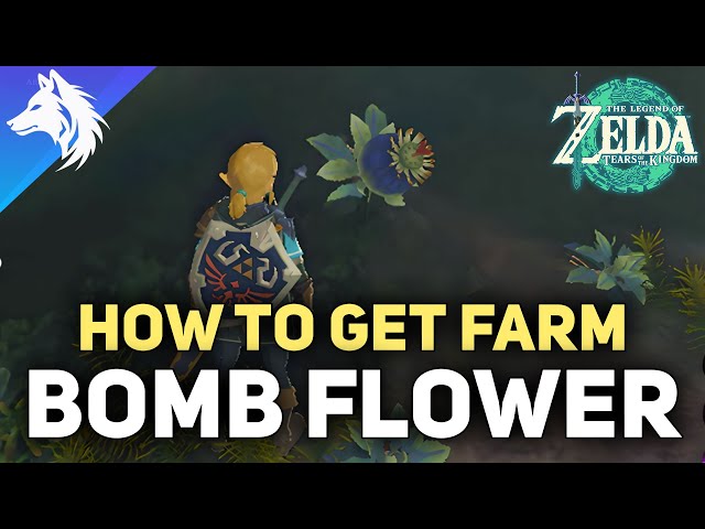 The best ways to use Flower Bombs in The Legend of Zelda Tears of the ...