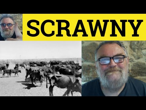 🔵 Scrawny Meaning - Scrawny Examples - Scrawny Definition - Adjectives Describing People - Scrawny