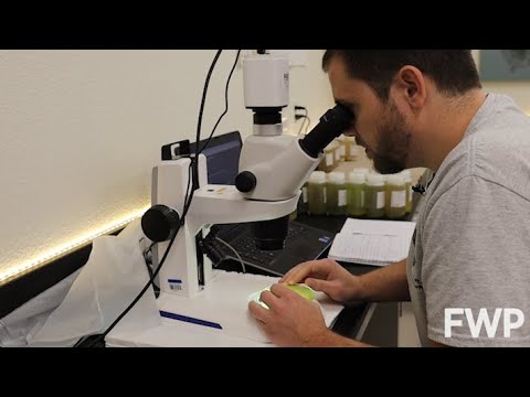 The AIS (Aquatic Invasive Species) Lab
