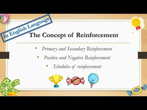 Reinforcement: Primary & Secondary Reinforcer in English by Dear Knowledge