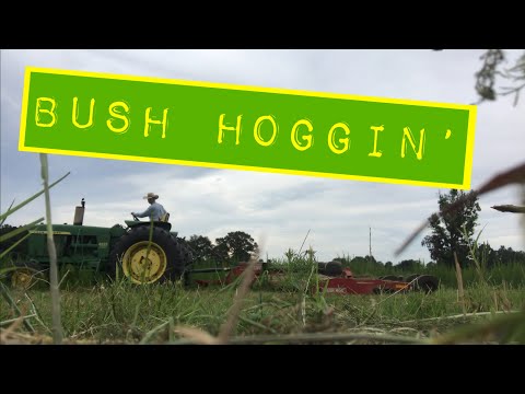 Why we bush hog in the south! Ep. 1