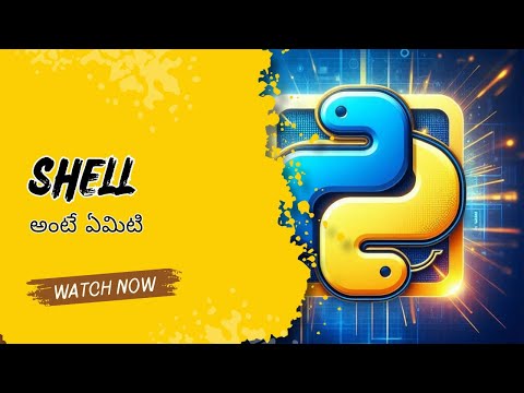 π4.python shellπ