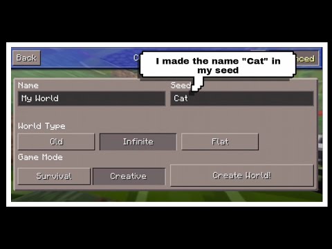 Craftsman: WHAT HAPPENS IF I USE THE WORD "Cat" in My SeeD Craftsman #shorts #craftsman