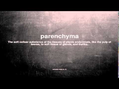 What does parenchyma mean