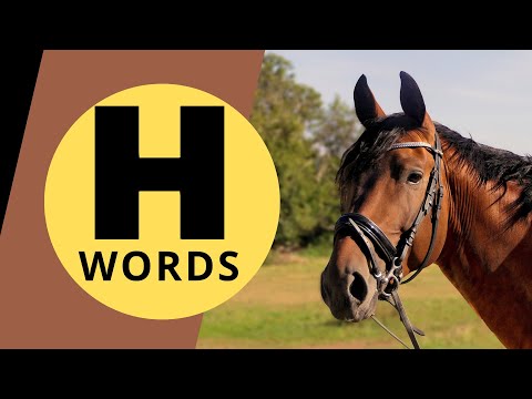 Words That Begin With H Sound - Learn Words That Begin With H