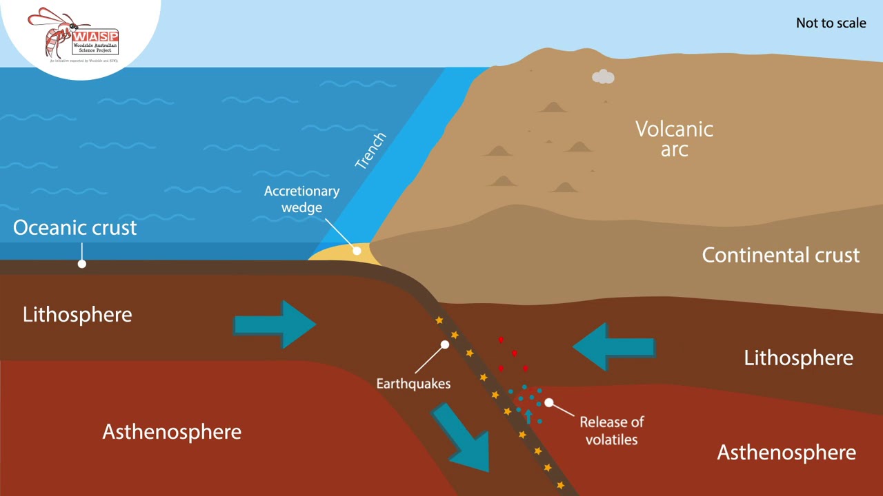 Convergence (oceanic and continental crust)