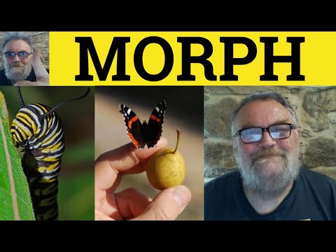 🔵 Morph Meaning - Morph Defined - morph as a Suffix Examples - Metamorphosis - Suffixes