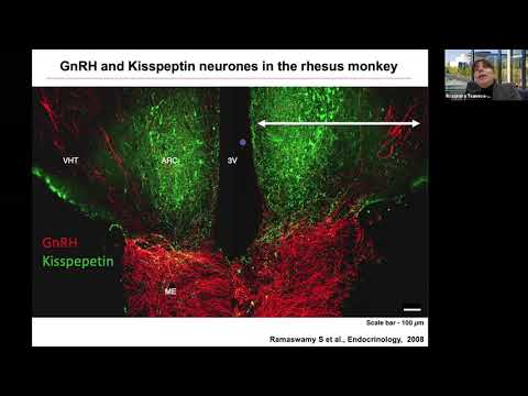 Krasimira Tsaneva: An Integrative Mathematical-Experimental Approach to Pulsatile Hormone Dynamics
