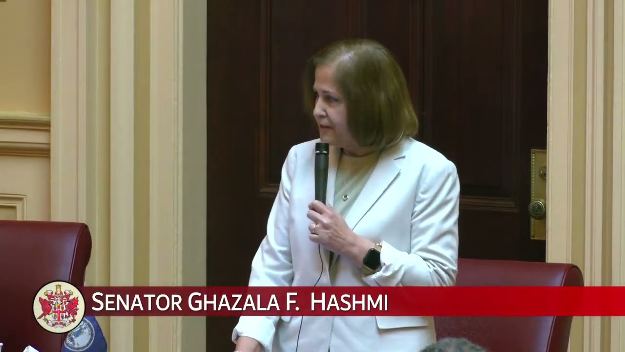 Video: VA Senate Democrats Unanimously Vote to Pass Redistricting ...