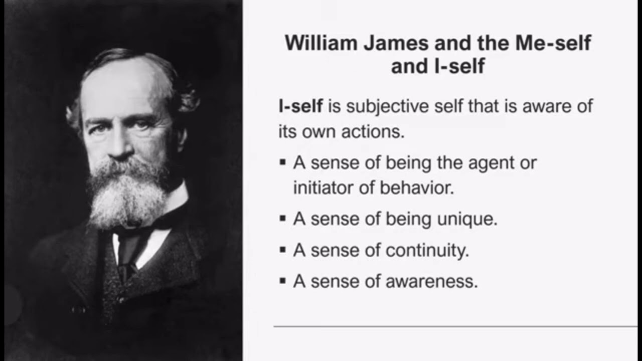 William James Theory of the Self