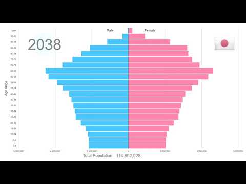 Japan Population Pyramid 1950-2100