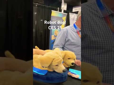 Robot dog must see!
