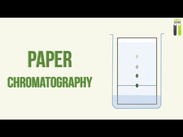 Understanding Paper Chromatography: A Comprehensive Guide | Galaxy