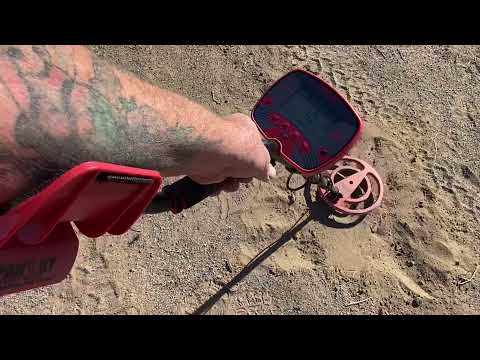 Testing the Panky Metal Detector / Is it any Good?